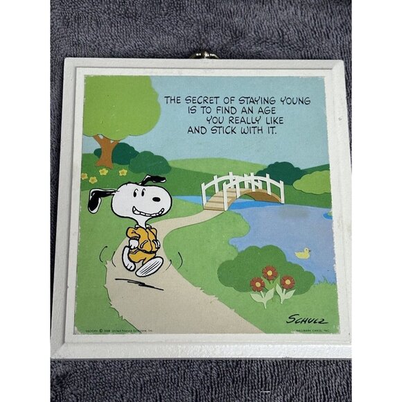 Hallmark | Wall Decor | 958 Hallmark Peanuts Snoopy The Secret To ...